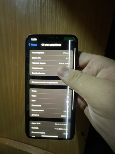 iPhone Xs Max 256Gb