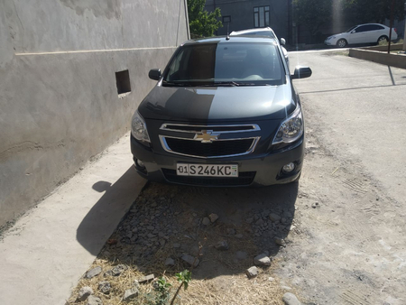 Cobalt 4 Pazitsa kiraska tozza 100%