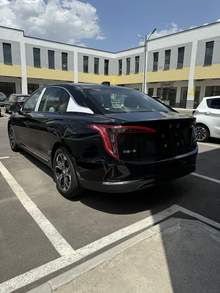 Hongqi eqm5 nalicha