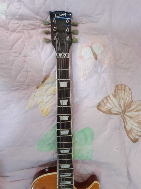 Gibson 