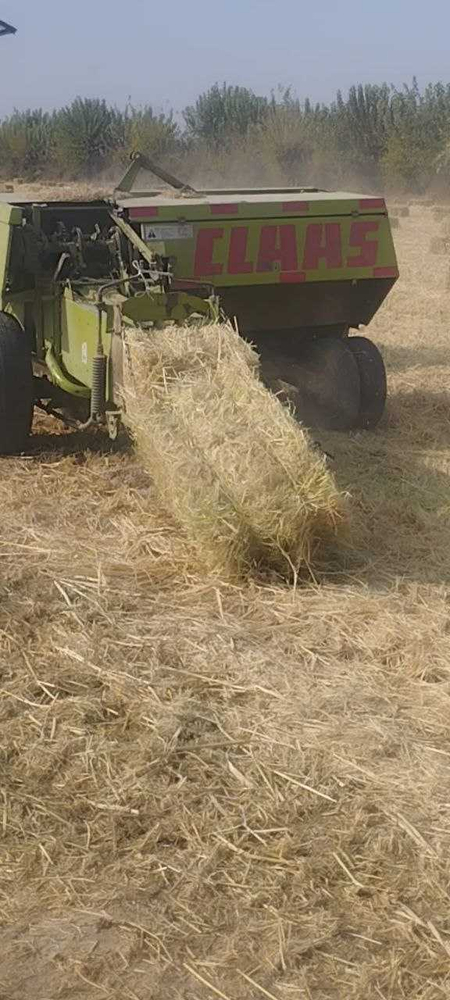 Pris padborchik marka 50 CLAAS