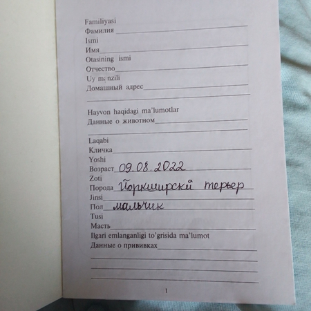 Вязка. Арчи ищет подругу для лубви