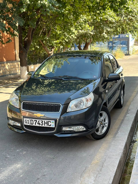 Neksya 3 2017 arenda gazi bor