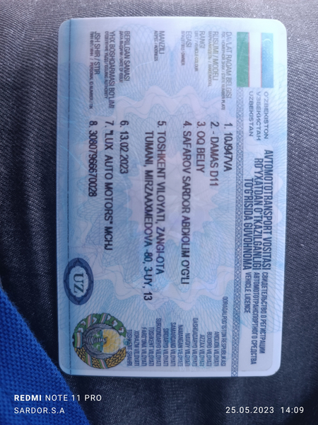 Damas van 2022 yili