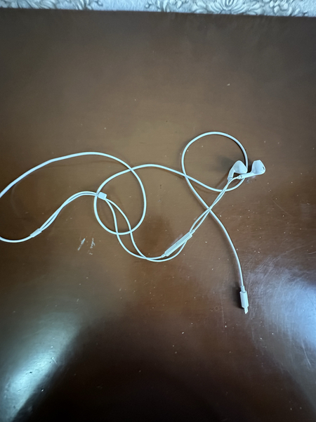 Apple Earpods org