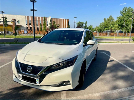 Nissan Leaf 2020
