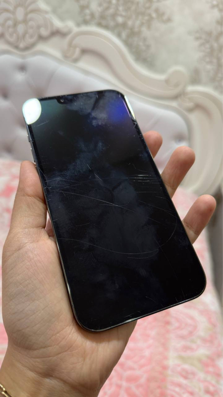 Iphone 13 pro max green