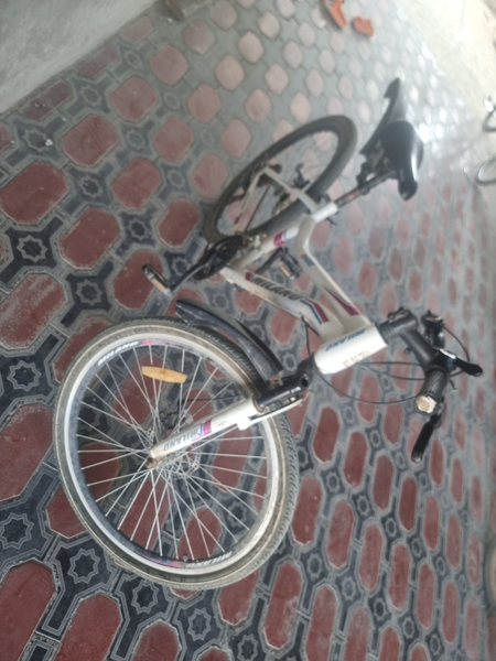 Milano m400 rangi oq