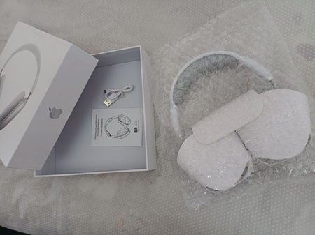 Air pods max ideal