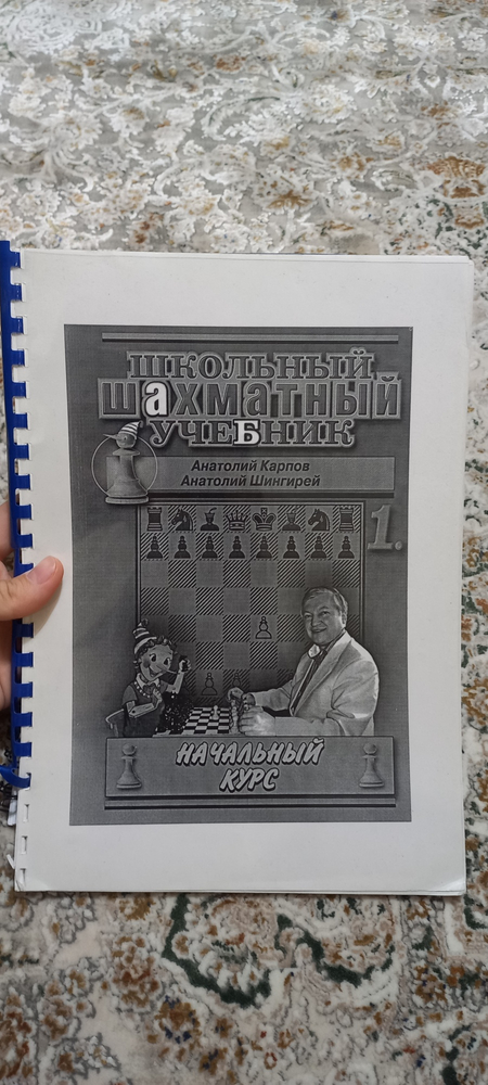 Школьный шахматный учебник