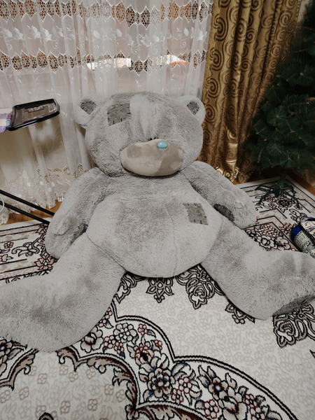 Teddy Ayiq sotiladi srochniy