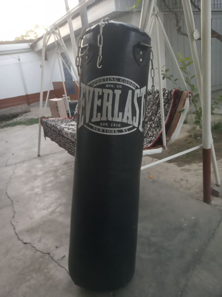 мешок для бокса Everlast