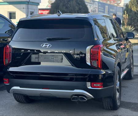 Palisade 3.8 motor kraska toza