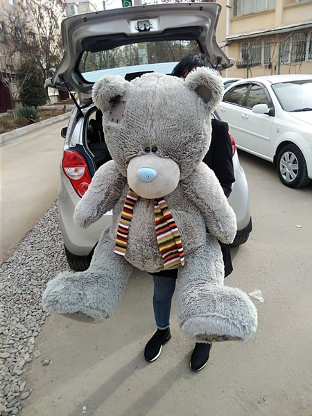 Teddy va boshqa yumshoq oʻyinchoqlar