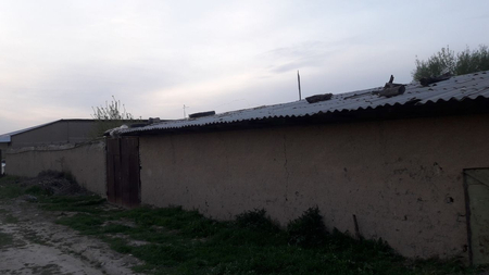 Nazarbek turkistonda 16sutuv yer sotiladi