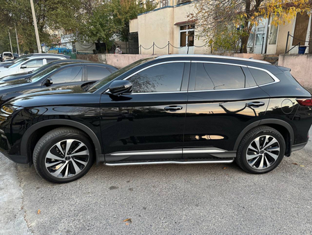 Byd champion 605