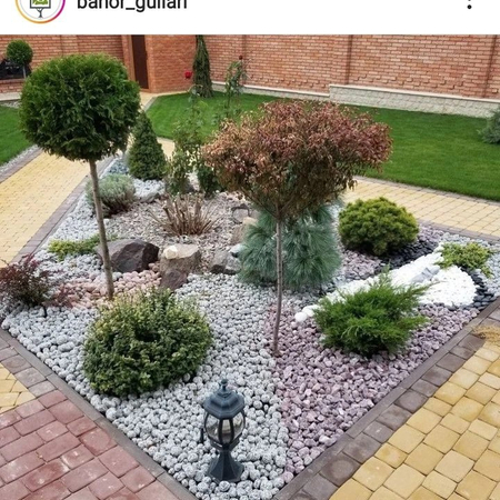 Gazon ekish xizmati yevra gazon tayyor rulon  ekamiz yevro uruglar