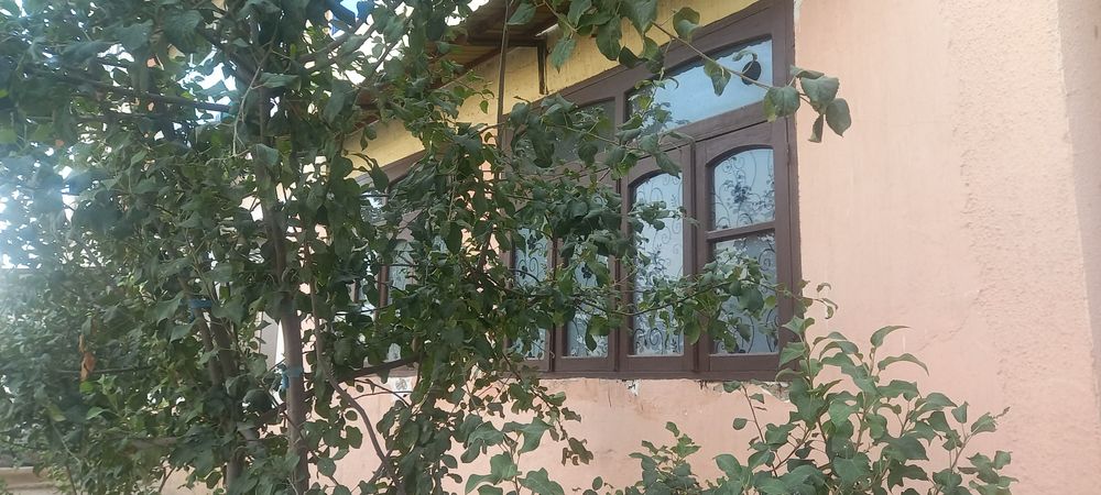 Ижарага квартира