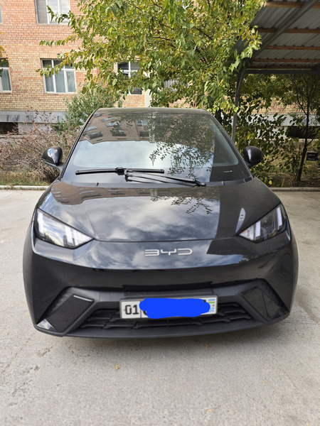 Byd seagull 2023