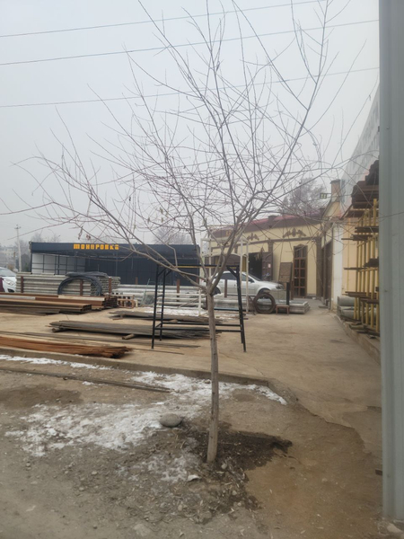 Продаётся готовый бизнес.