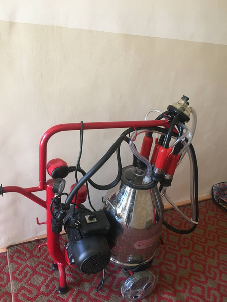 Kurysan Asalomaleykom xolati idial 2oy ishlatilgan