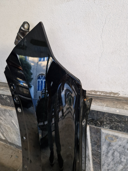 BYD Song Plus krilo Radnoy