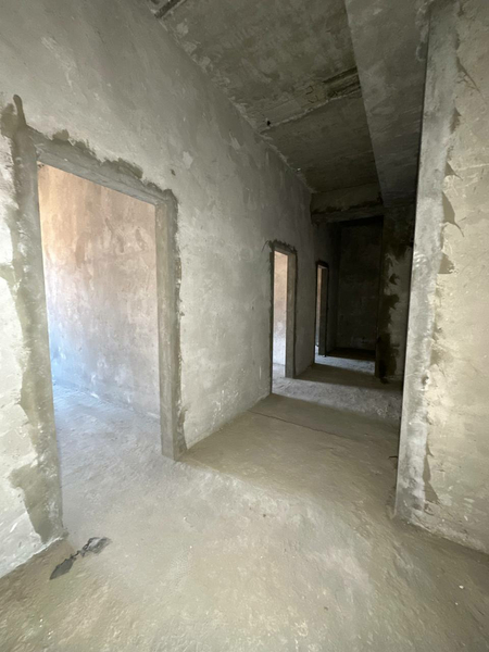 Замона 6/3/4 170 м² коробка дуплекс