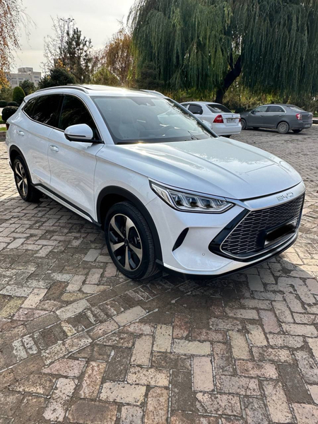 byd song plus gibrid 2024
