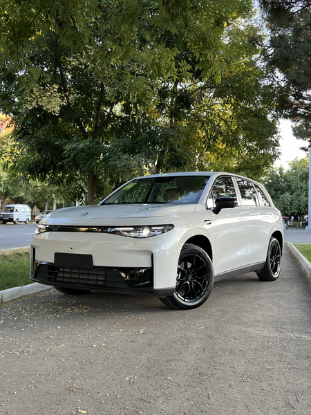 LeapMotor C10 EV 2024