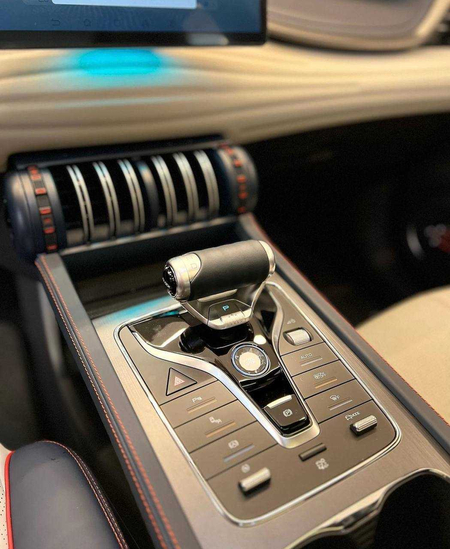 BYD YUAN PLUS s vikipom