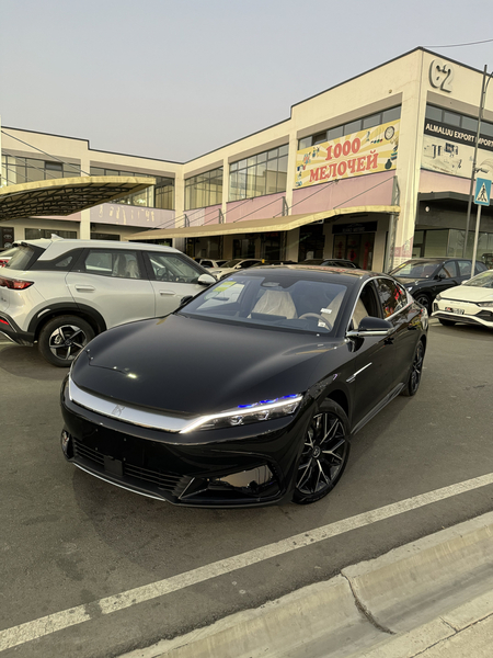 Byd Han 3.9 v nalichii 2024