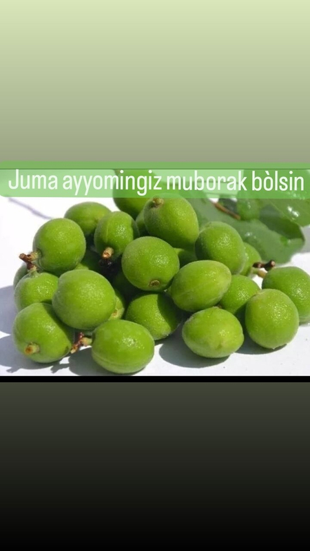 Довча ва куксултонлар