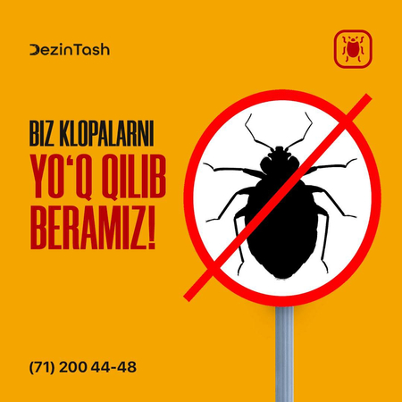 Dizenfeksya islimiz garantya