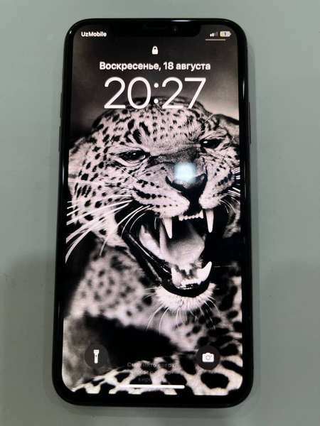 IPhone X 64 gb 74%