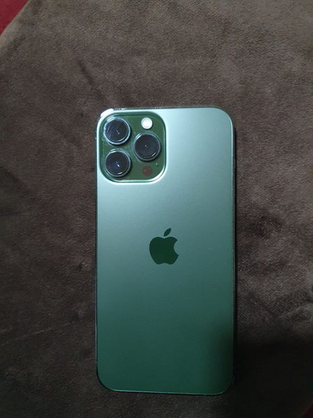Iphone 13 pro max 128g