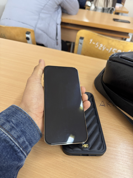 Iphone 13 pro max 256 gb gold