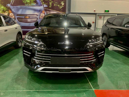 Byd Son Plus Chempion