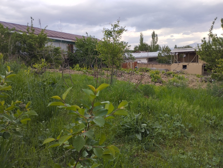 Uy sotiladi parkent tumani