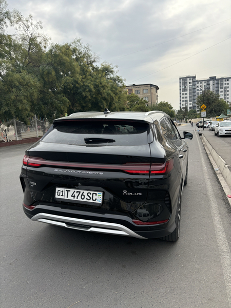 Byd Champion 605