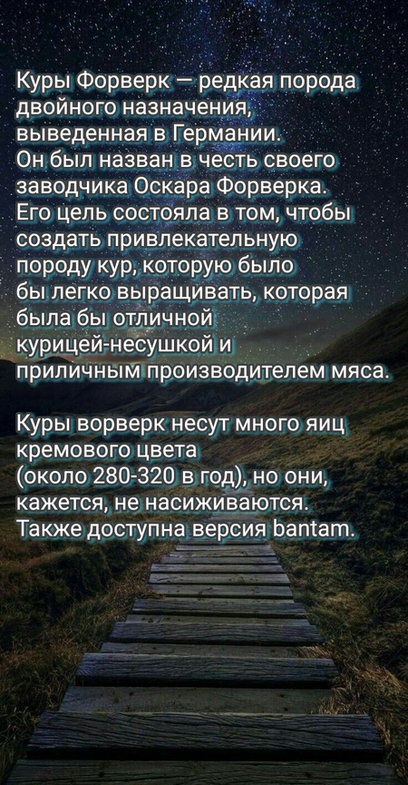 Немецкий форверк