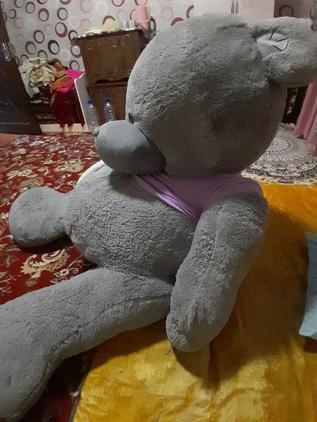 Teddy original /тедди оригинал