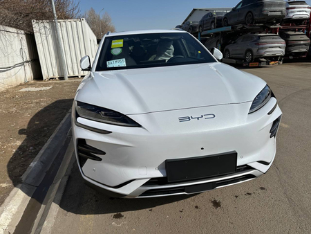 Byd champion 605