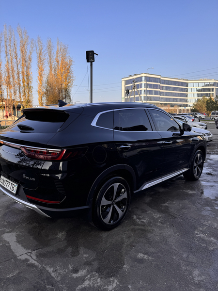 Bvd song pulus 2022/23