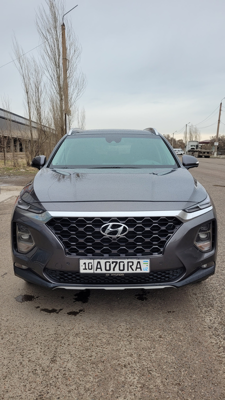 Hyundai Santa FE