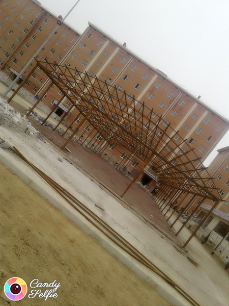 Naves Ferma Tom yopish xizmatlari
