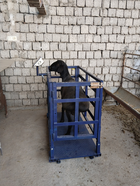 Tarozi  Tuzatamz