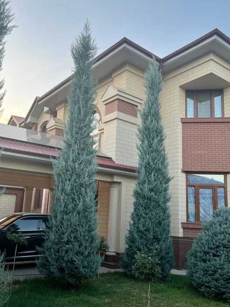 Сдаётся дом в аренду, вЮнусабадском районе. (садик, офис, Hotel).