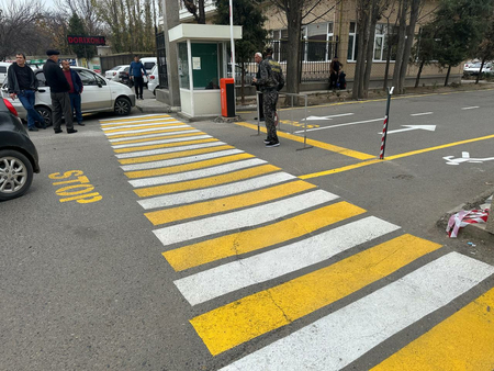 Razmetka Palasa Chizish. Parkovka Razmetka Разметка Парковка