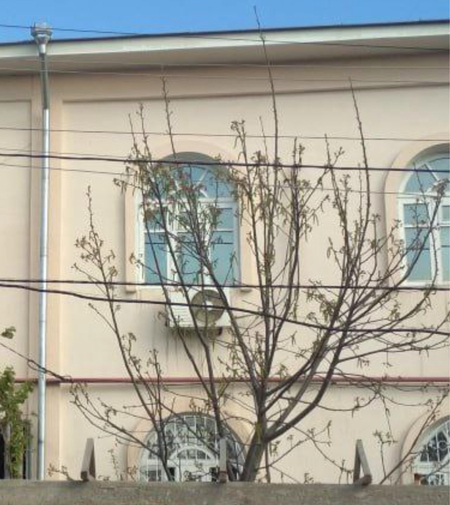 Срочно продам большой дом, в Яшнабадском р-не