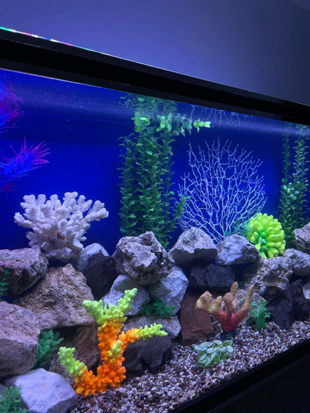 Akvarium 400litrli